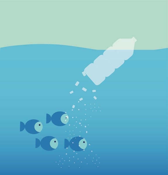 New insights into Marine Microplastic Pollution | Scientific European